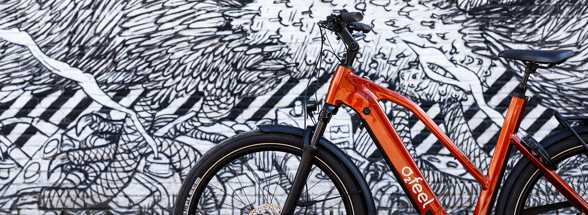 O2feel e-bikes - French developer of electric bicycles